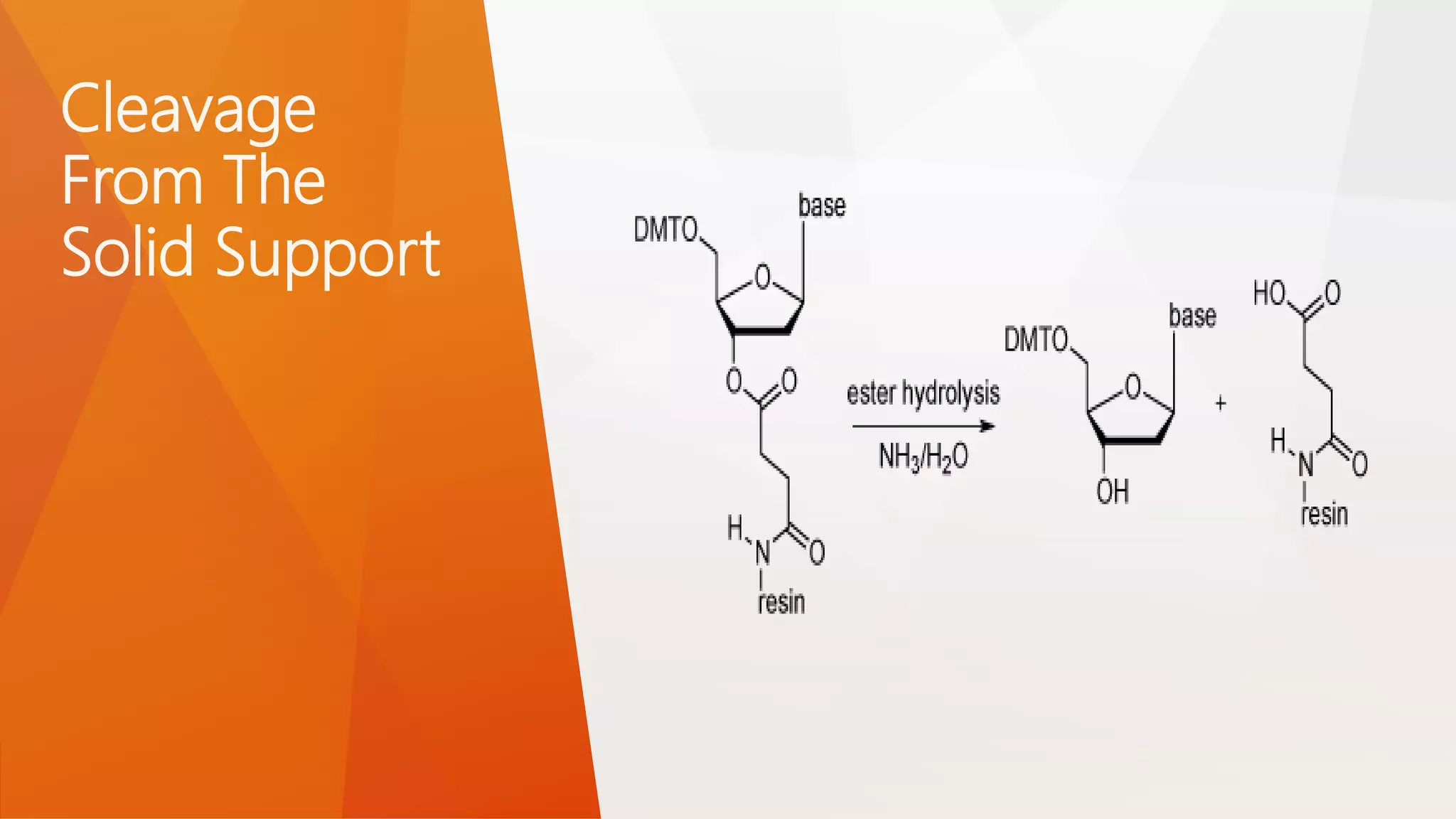 Solid phase oligonucleotide synthesis | PPTX