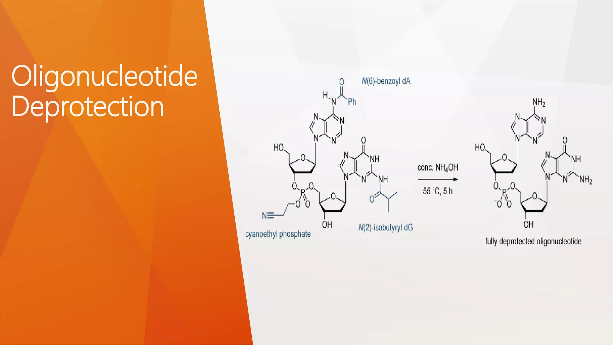 Solid phase oligonucleotide synthesis | PPTX