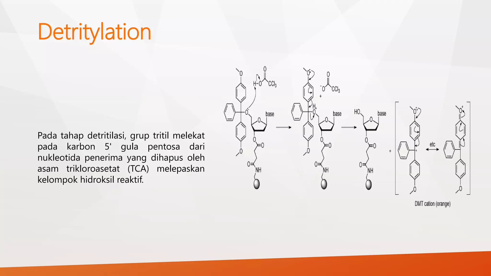Solid phase oligonucleotide synthesis | PPTX