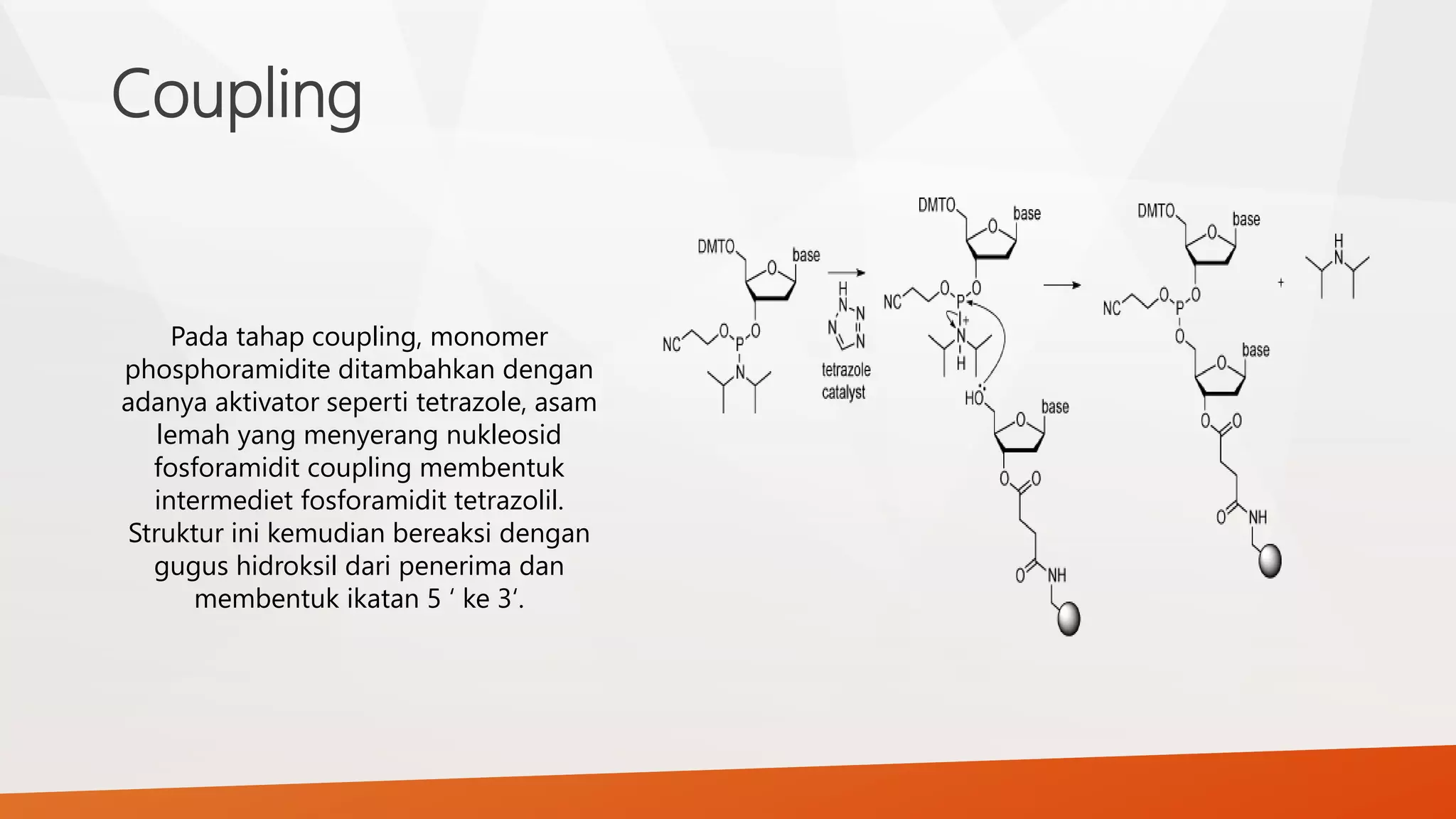 Solid phase oligonucleotide synthesis | PPTX