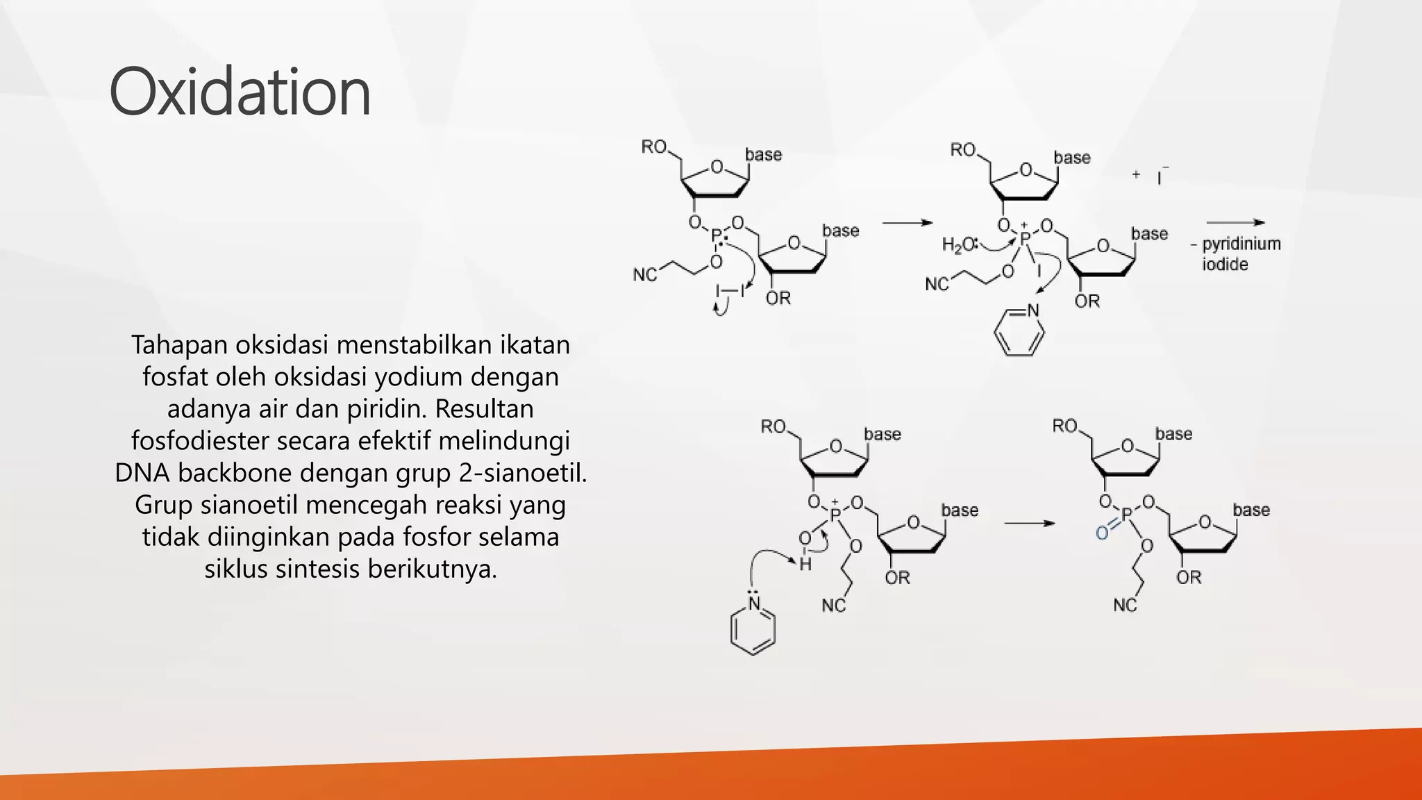 Solid phase oligonucleotide synthesis | PPTX