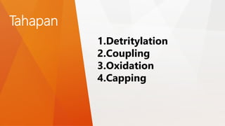 Solid phase oligonucleotide synthesis | PPTX