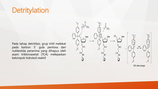 Solid phase oligonucleotide synthesis | PPTX