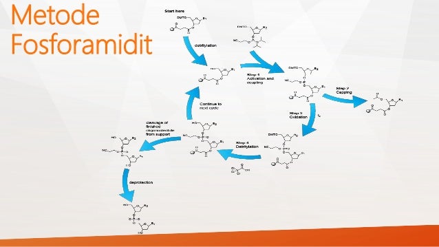 Solid phase oligonucleotide synthesis