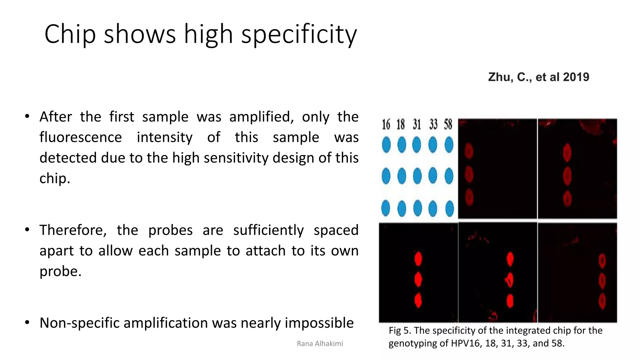 Solid phase pcr and suicide pcr | PDF