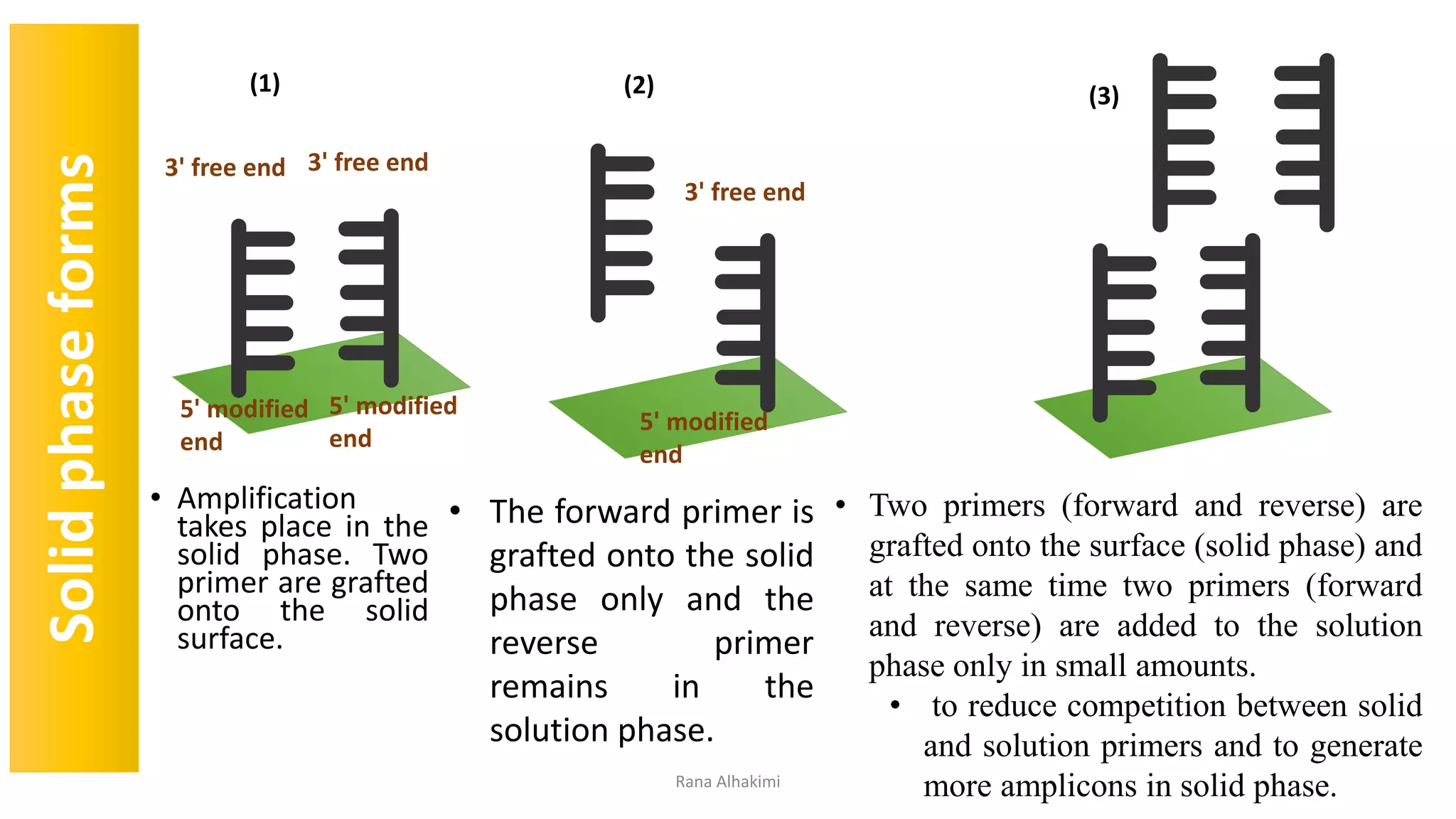 Solid phase pcr and suicide pcr | PDF