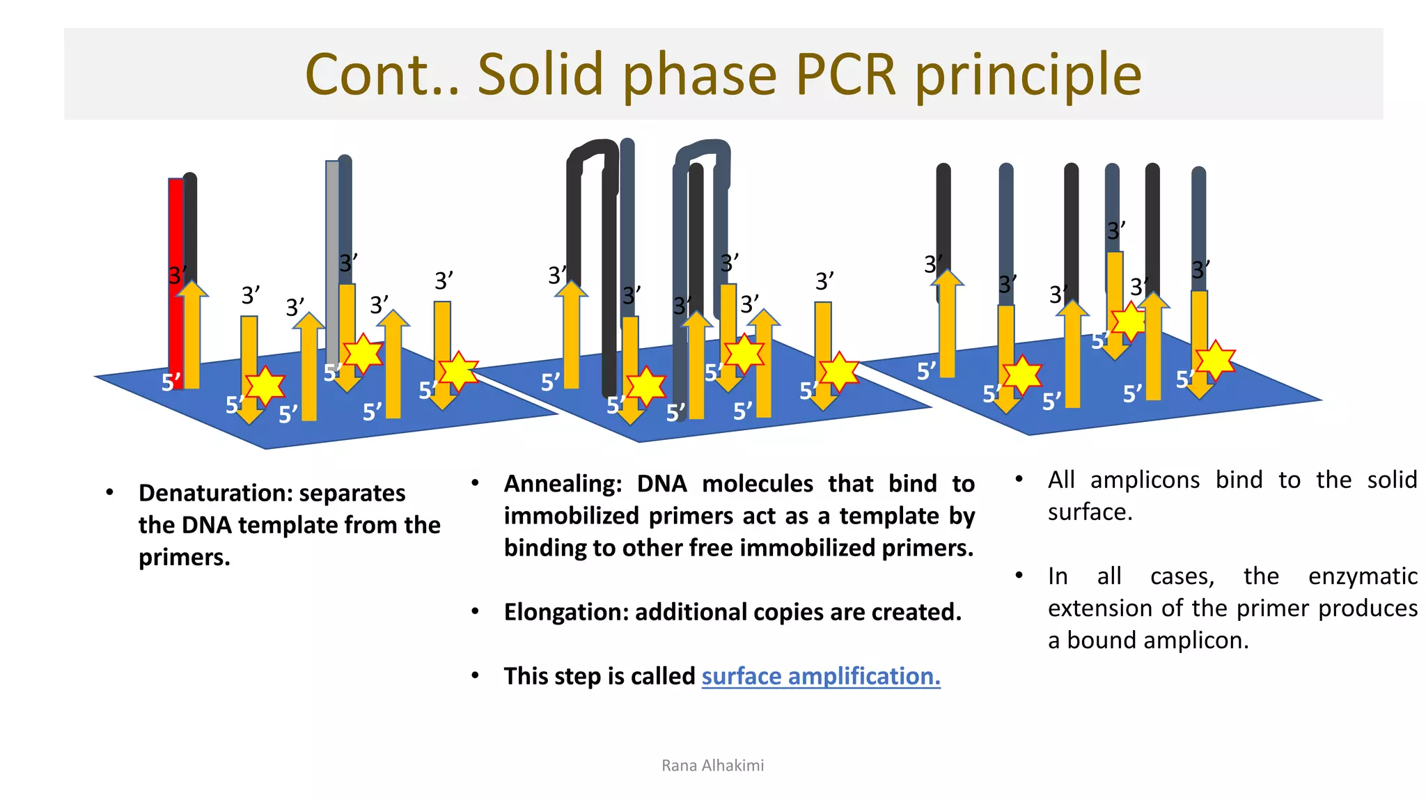 Solid phase pcr and suicide pcr | PDF | Chemistry | Science