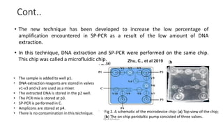 Solid phase pcr and suicide pcr | PDF