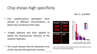 Solid phase pcr and suicide pcr | PDF