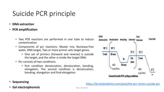 Solid phase pcr and suicide pcr | PDF