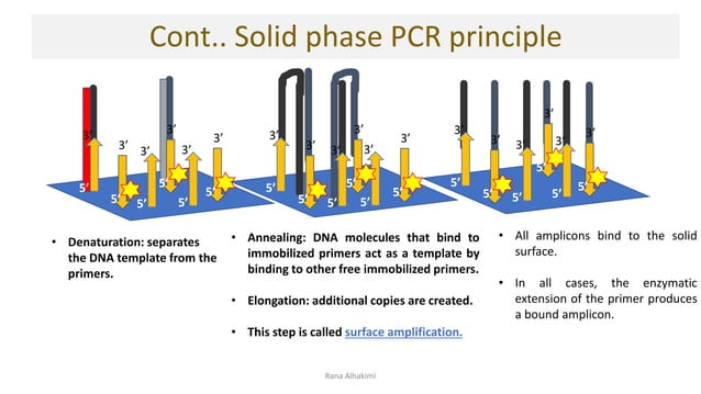 Solid phase pcr and suicide pcr | PDF | Chemistry | Science