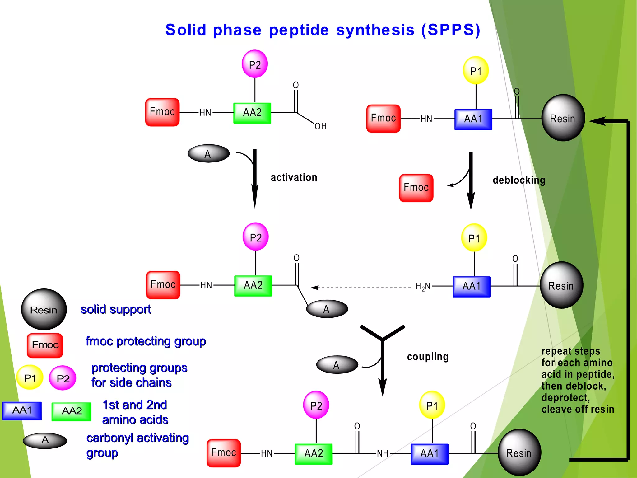 Solid phase peptide synthesis | PPT