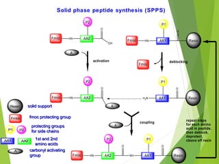 Solid phase peptide synthesis | PPT