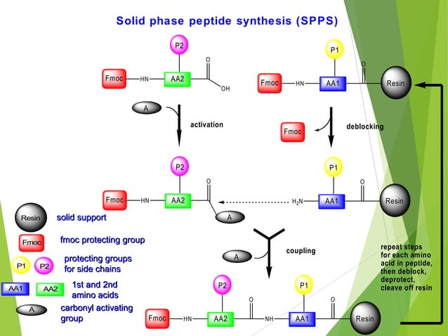 Solid phase peptide synthesis | PPT | Chemistry | Science