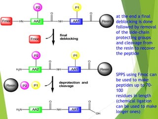 Solid phase peptide synthesis | PPT