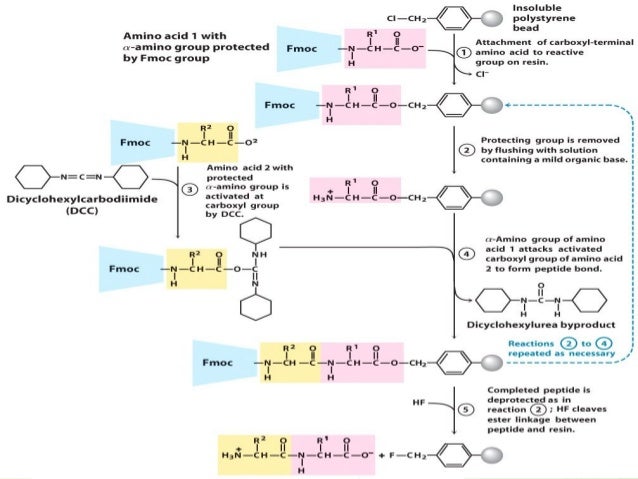Solid phase peptide synthesis