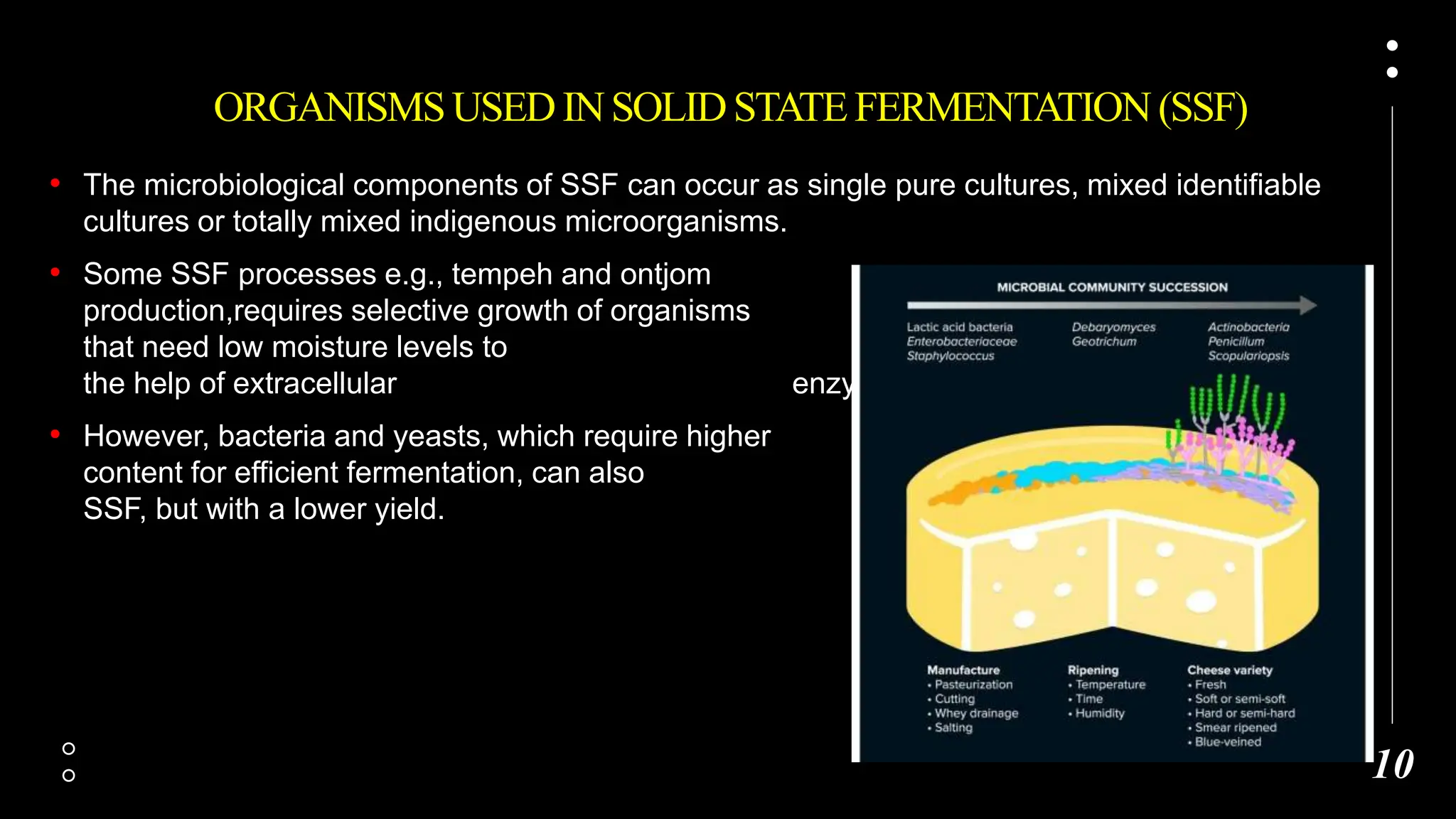 Solid state fermentation [fermentation type].pptx