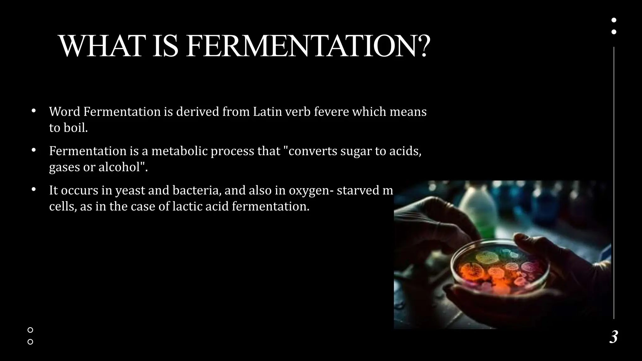 Solid state fermentation [fermentation type].pptx