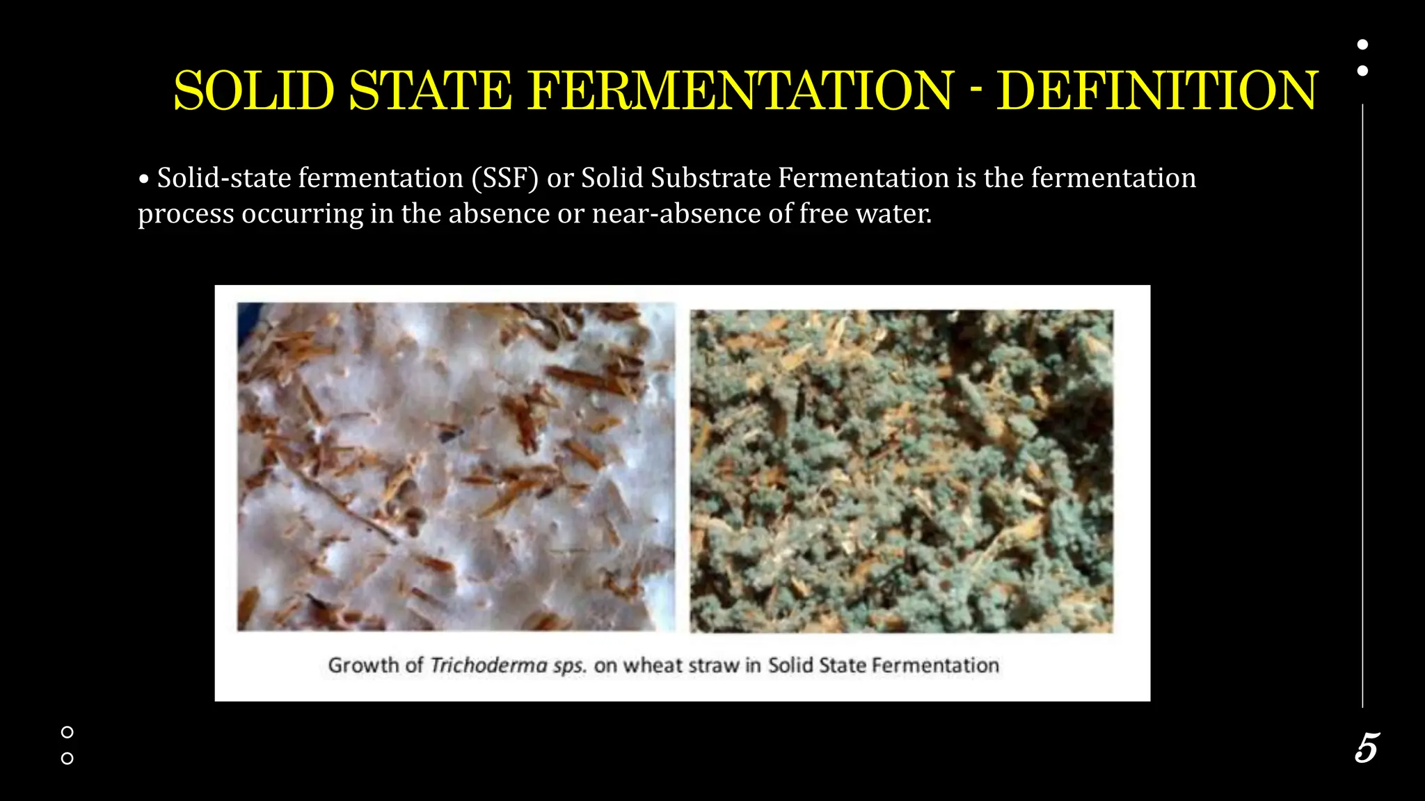 Solid state fermentation [fermentation type].pptx