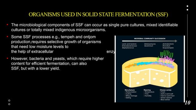 Solid State Fermentation [fermentation Type] Pptx Chemistry Science