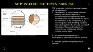 Solid state fermentation [fermentation type].pptx
