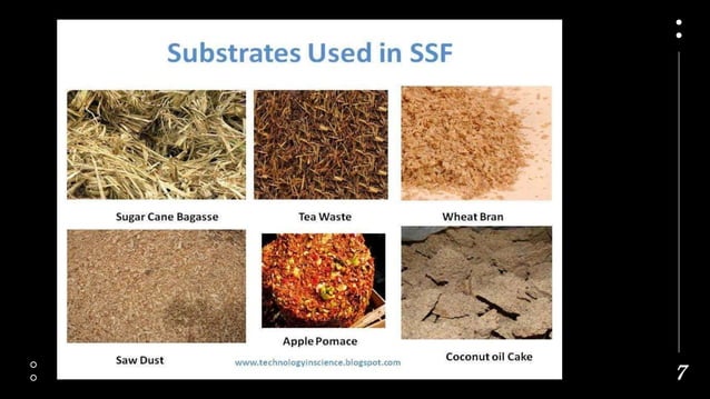 Solid state fermentation [fermentation type].pptx | Chemistry | Science