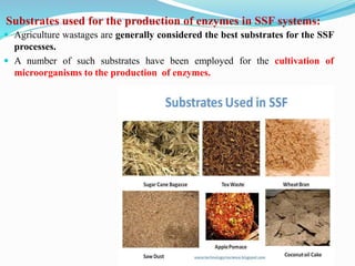Solidstate fermentation and submerge fermentation | PPTX