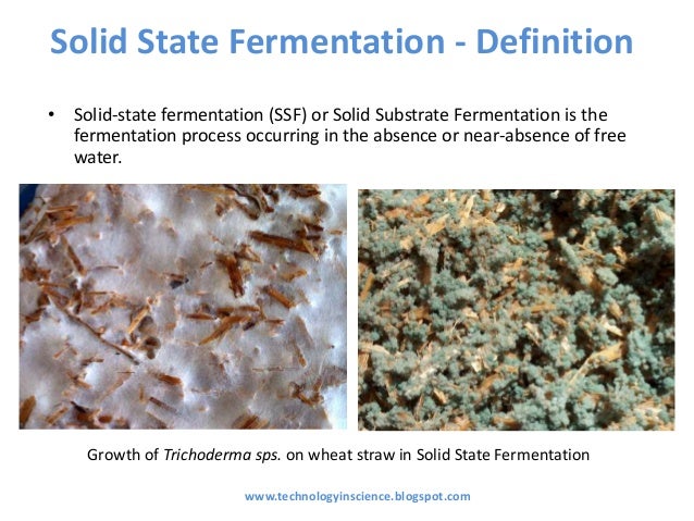 Solid State Fermentation Ssf Substrates Influencing Factors And