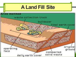 Solid waste & management | PPTX