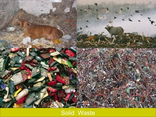 Solid waste part-i | PPT