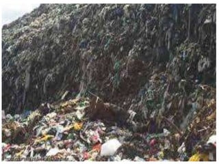 Solid waste man | PPTX
