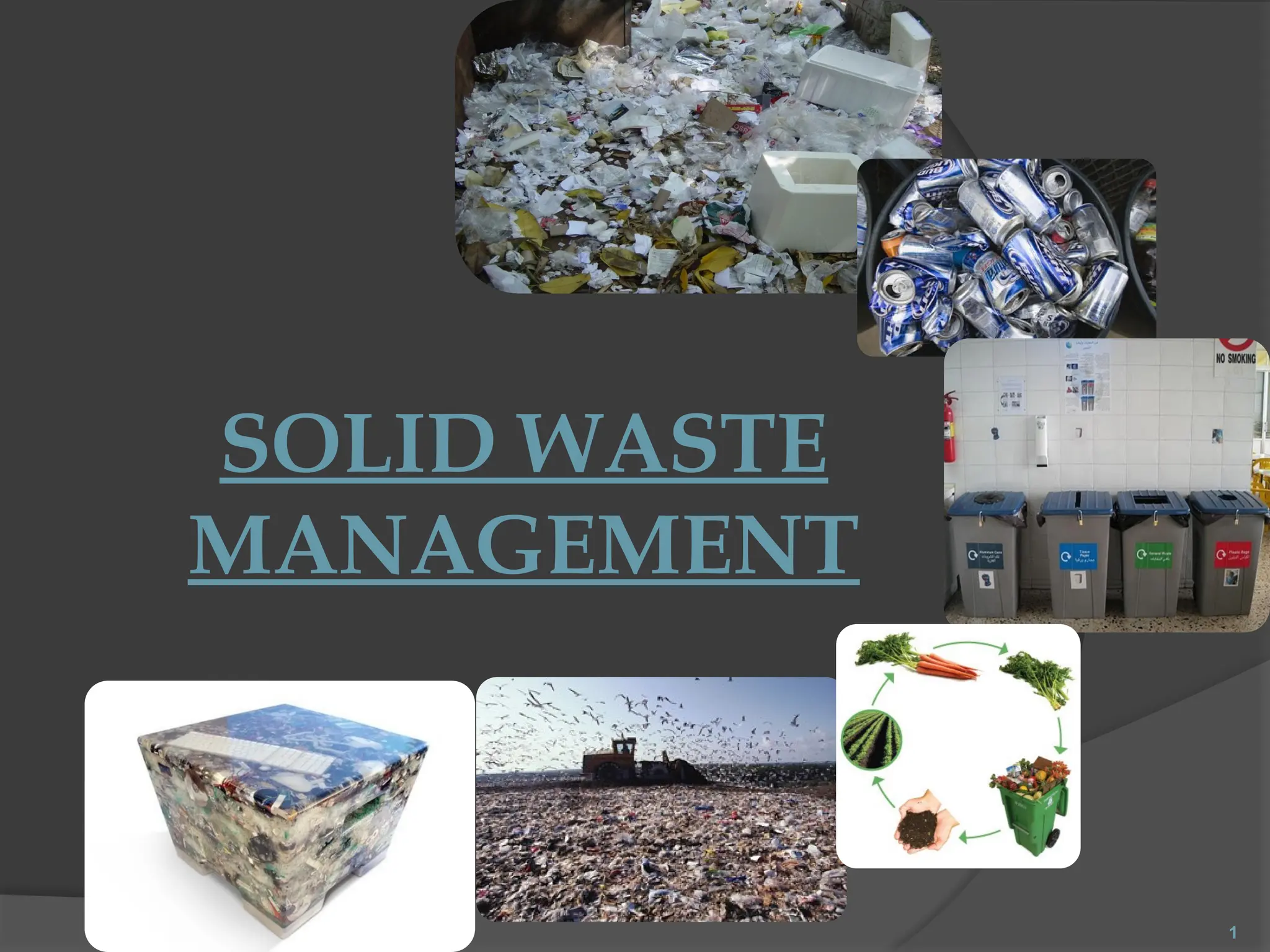 environmental solidwastemanagement-151202092.pptx