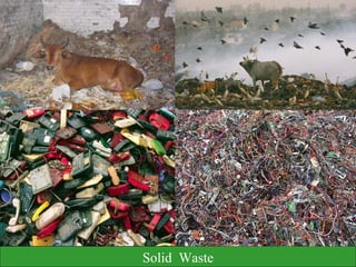 seminar presentation ppt on solid waste management | PPT