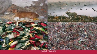 Solid waste management | PPTX