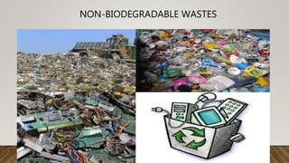 Solid waste management | PPTX