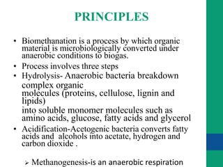 solidwastemanagement-170108063716.pptx