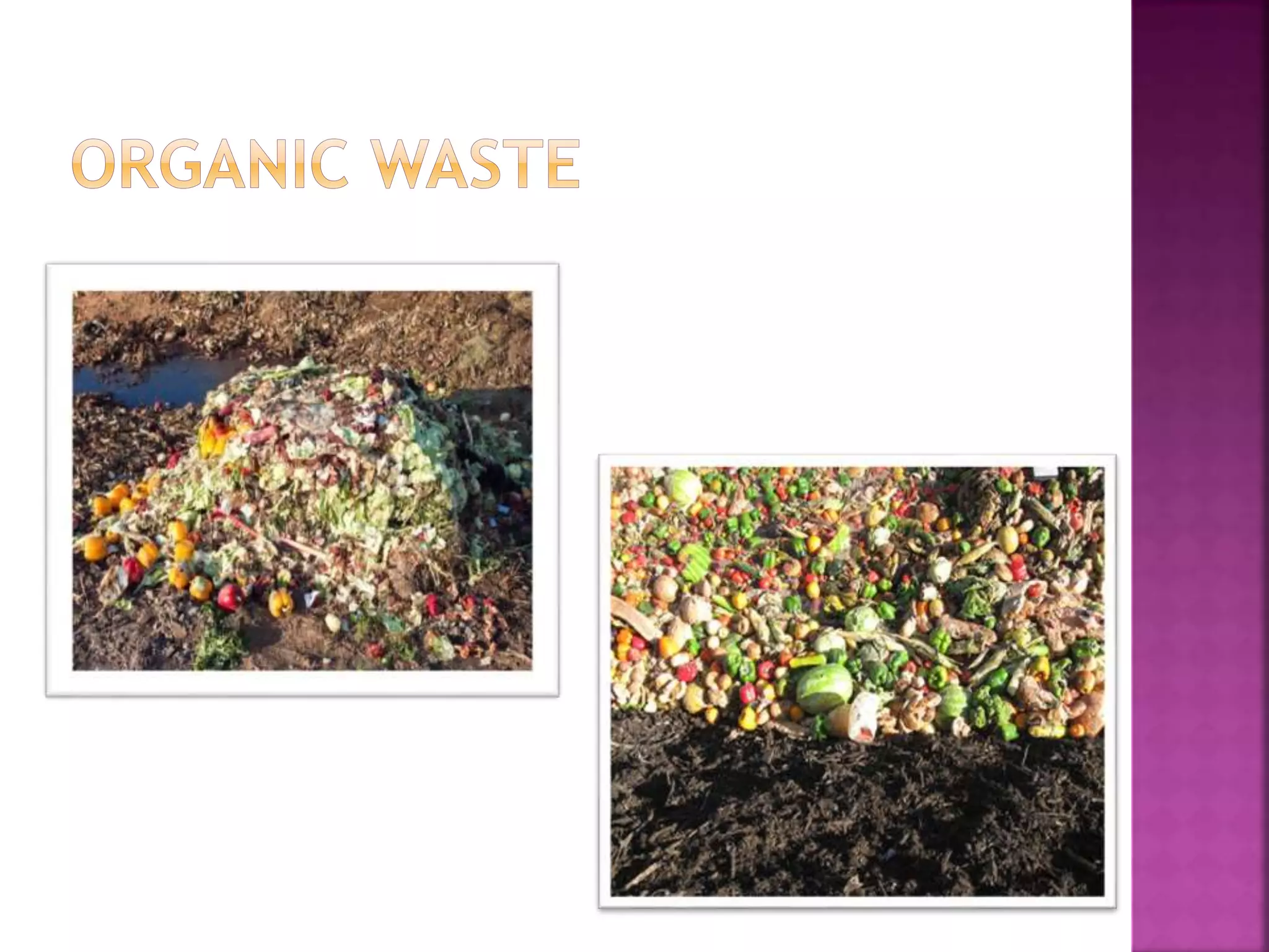 Solid waste management | PPTX