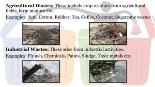 Solid Waste Management | PPTX