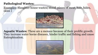 Solid Waste Management | PPTX