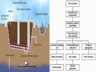 Solid waste management | PPTX
