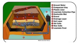 Solid waste management | PPTX