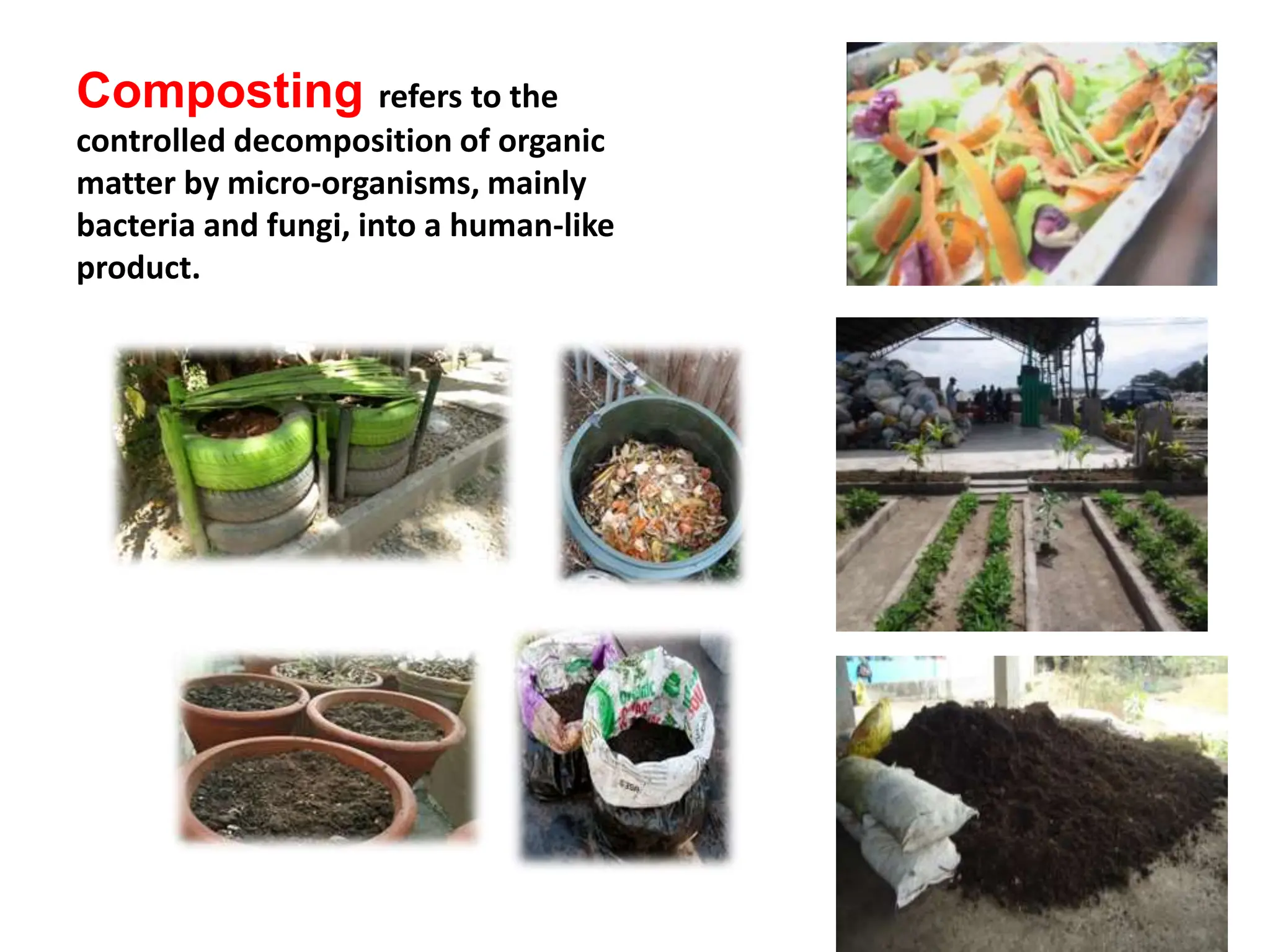 City Solid Waste Management: Best practices | PPTX