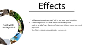 Solid waste Management-youssefAhmedKotb.pptx
