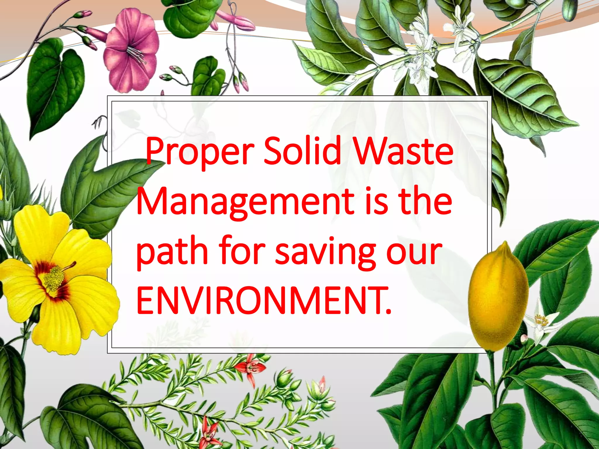 Solid waste management | PPTX