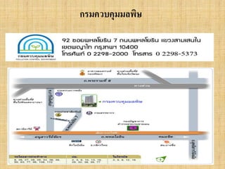 Solid waste pollution | PPT