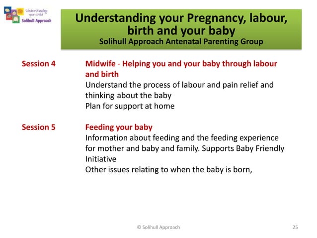 Solihull Approach Workshop | PPTX