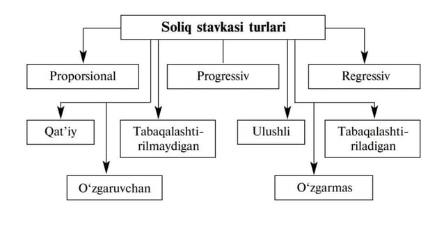 Soliq.pptx