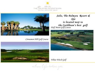 Solis The Palmyra Ppp | PPT