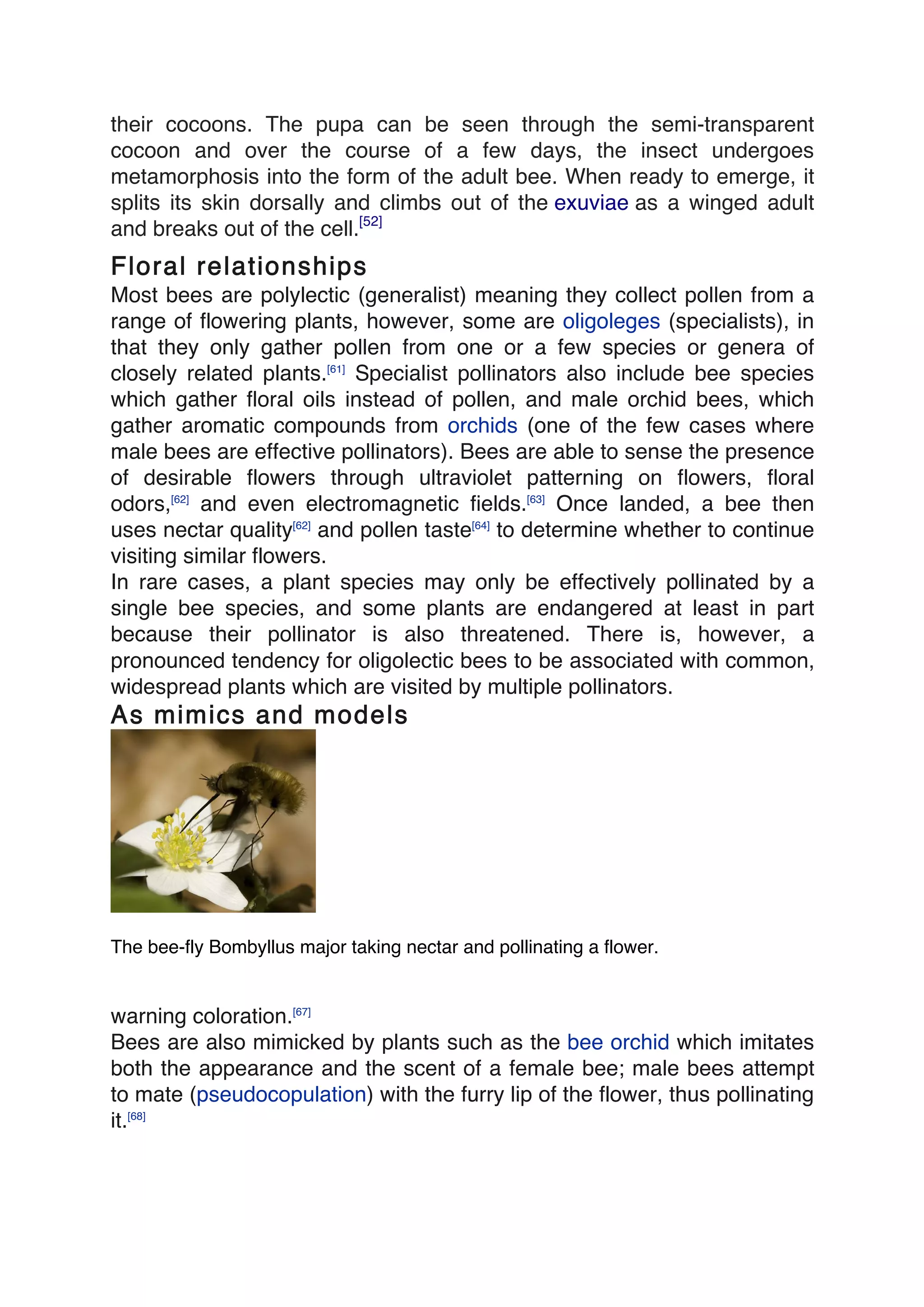 Solitary and communal bees, and plants for bees | PDF