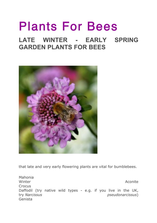Solitary and communal bees, and plants for bees | PDF